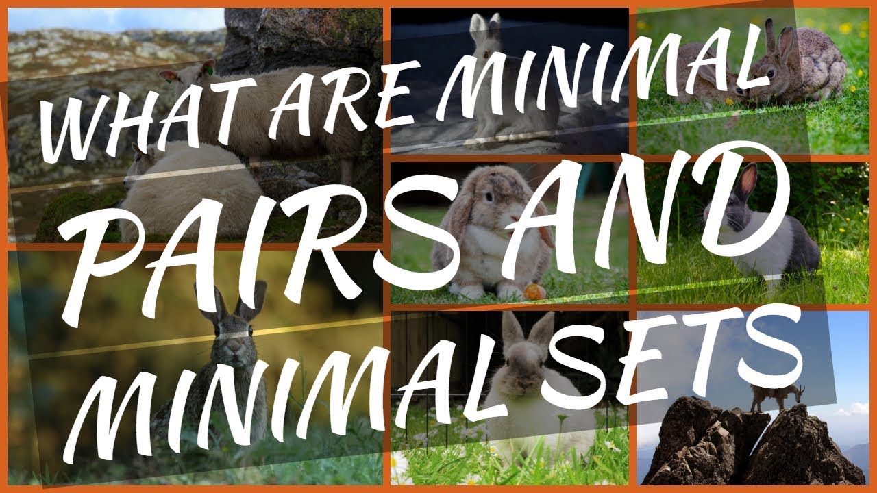 What Are Minimal Pairs and Sets | Phonology | Lecture 21 | CH#4 | The ...