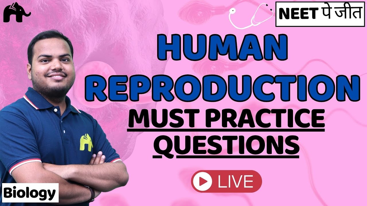 Human Reproduction Class 12 Biology | Must Practice Questions | NEET ...