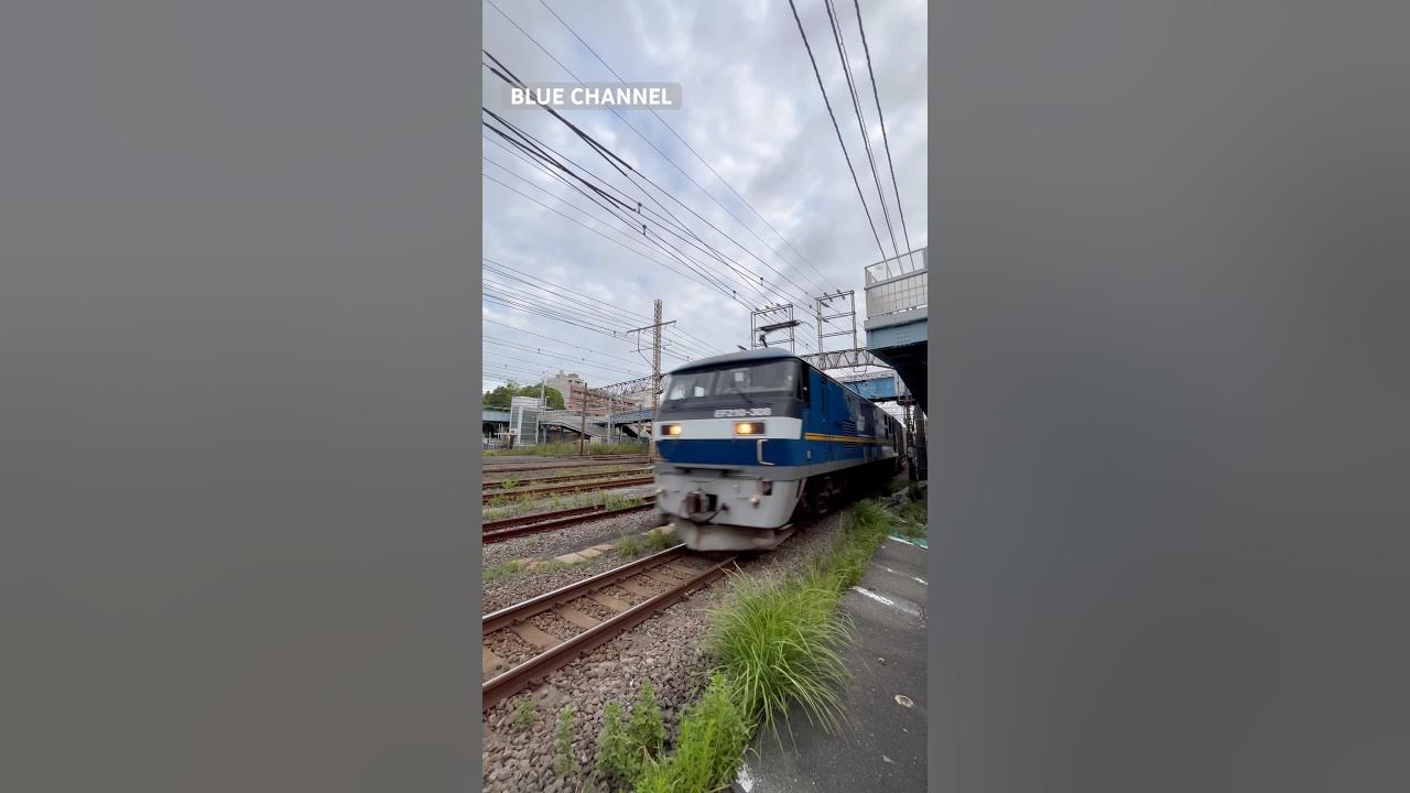 (貨物列車) 2024/08/23 59レ EF210-308 + コキ20B 福山レールエクスプレス (盛岡タ〜安治川口) #Shorts - YouTube