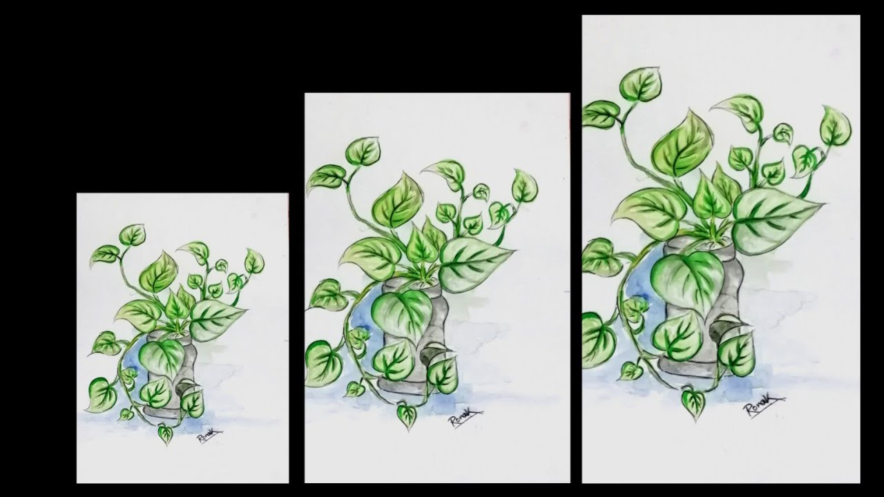 How to draw Tree।। Tree painting।। Money plant painting।।How to draw ...