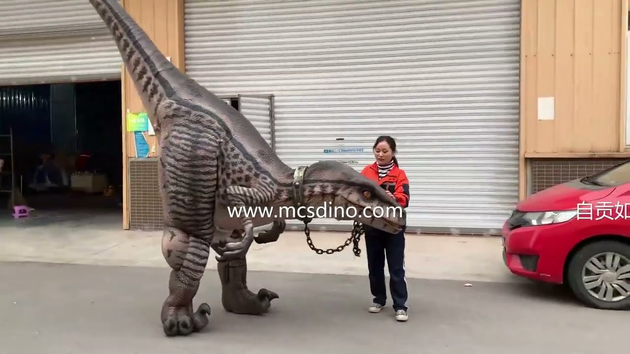 DCRP705-black stripes raptor costume - YouTube
