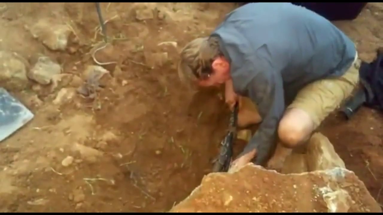 WATCH: Southern African Rock Python Captured - YouTube