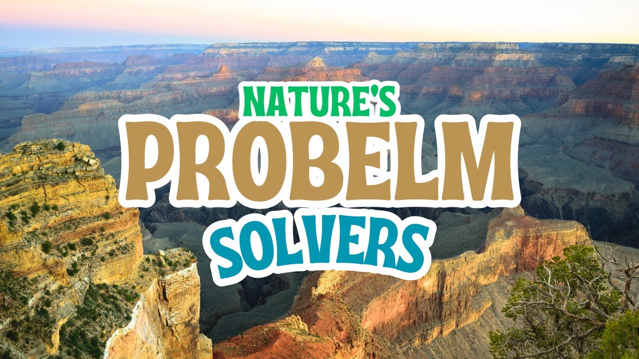5 PROBLEM SOLVING Techniques Used by Nature's Top Creators! - YouTube