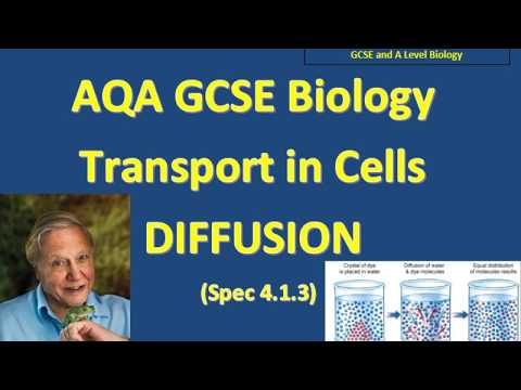 Diffusion Revision - GCSE Biology/GCSE Combined Science