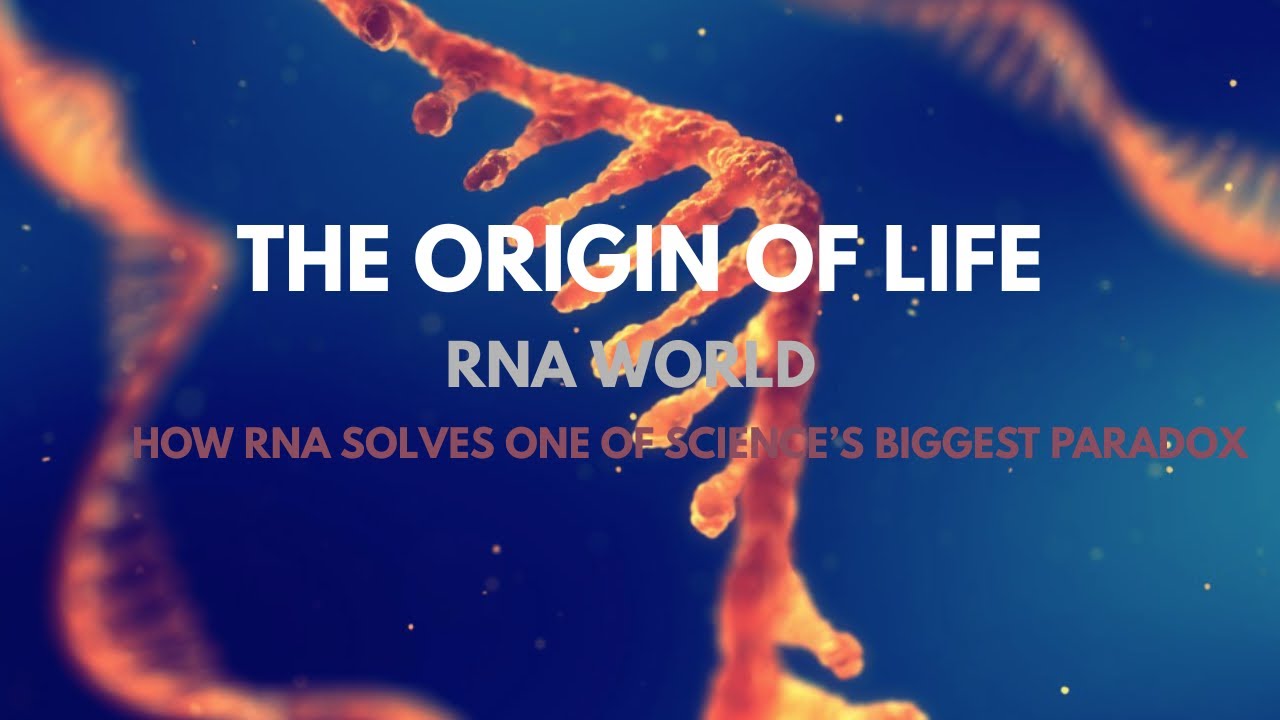 Origin of Life: When RNA Ruled the World - YouTube