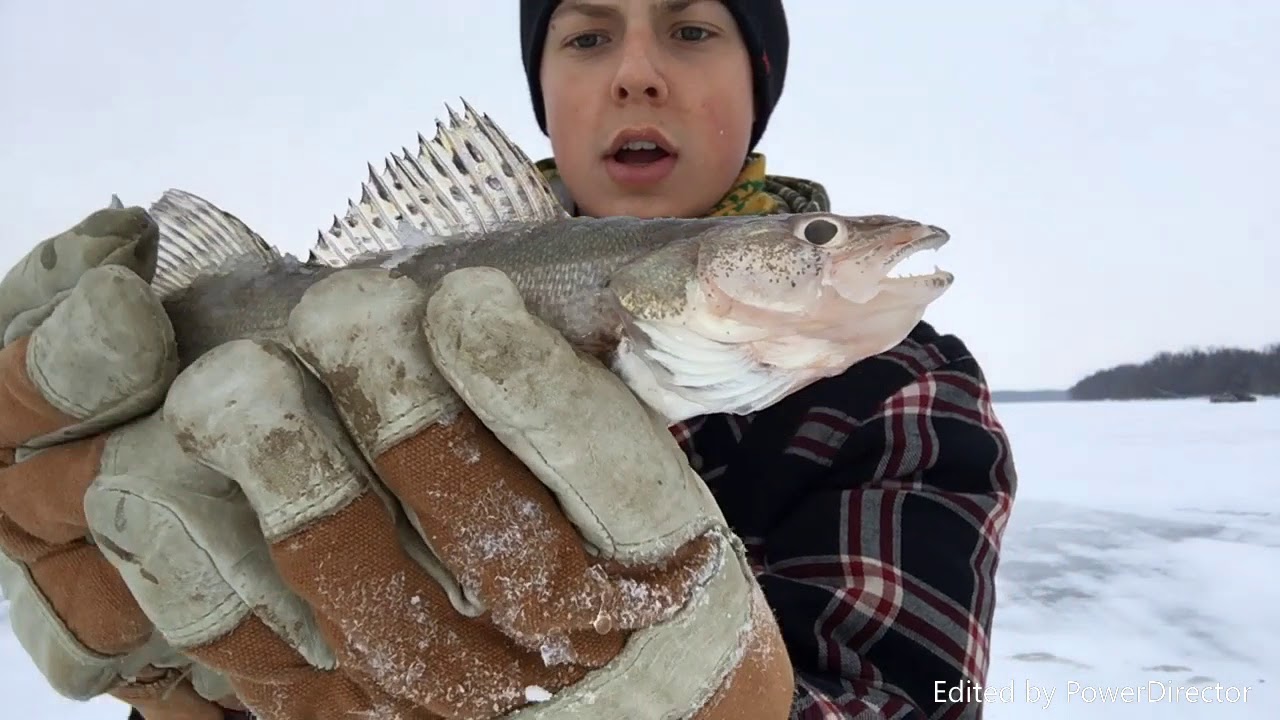 Ice Fishing For Walleye And Sauger on Red River - YouTube