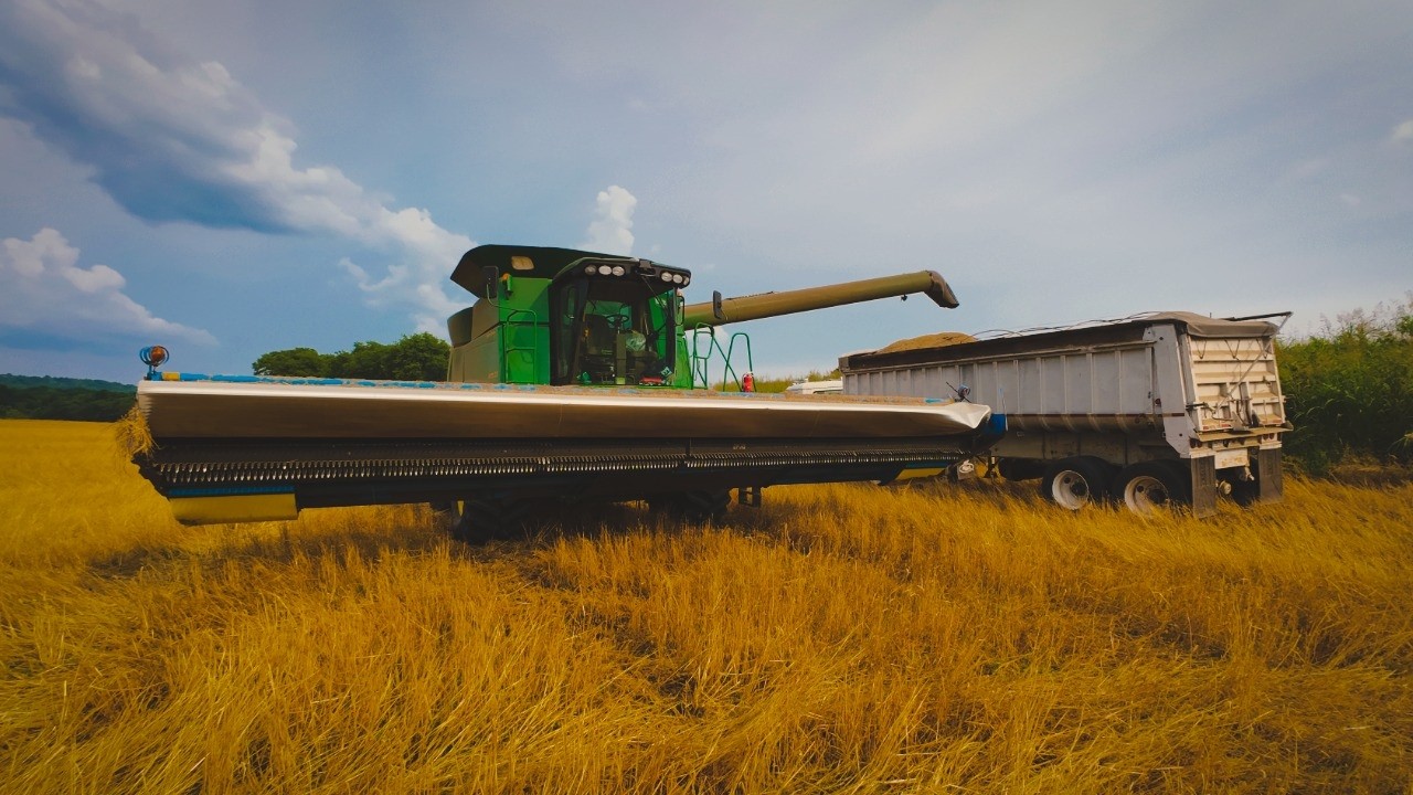 Combining Oats and Spraying Burndown: Tennessee Farming! - YouTube