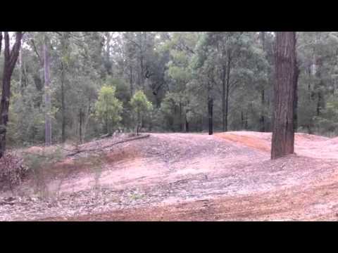 Cooper Sargent & Bryce Clark riding in the bush - YouTube