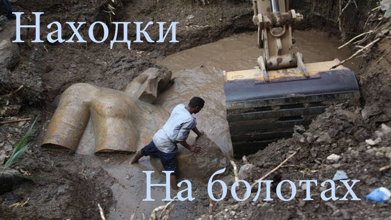 Shocking things found in the swamps in SL | Шокирующие вещи, найденных ...