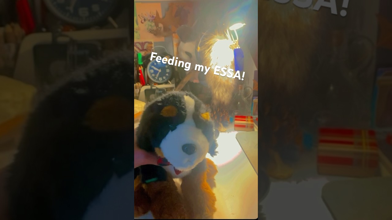 Feeding my essa! #pets #emotionalsupportstuffedanimal #essa # ...
