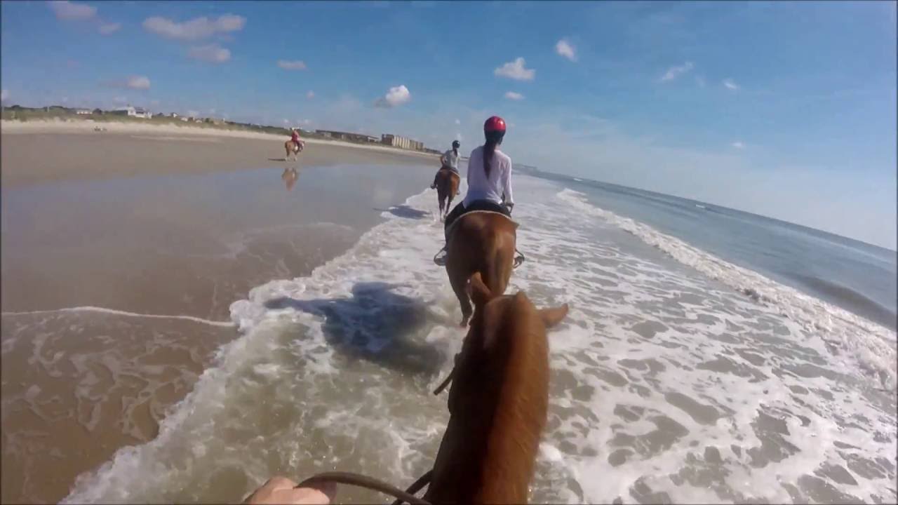 Horseback riding in the water. - YouTube