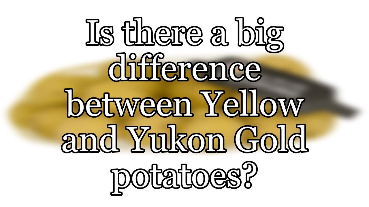 Is there a big difference between Yellow and Yukon Gold potatoes? - YouTube
