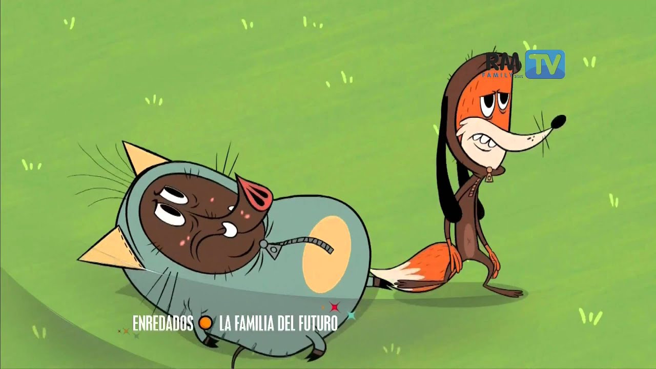 Zip Zip - persecución de gatas (Full HD) - YouTube