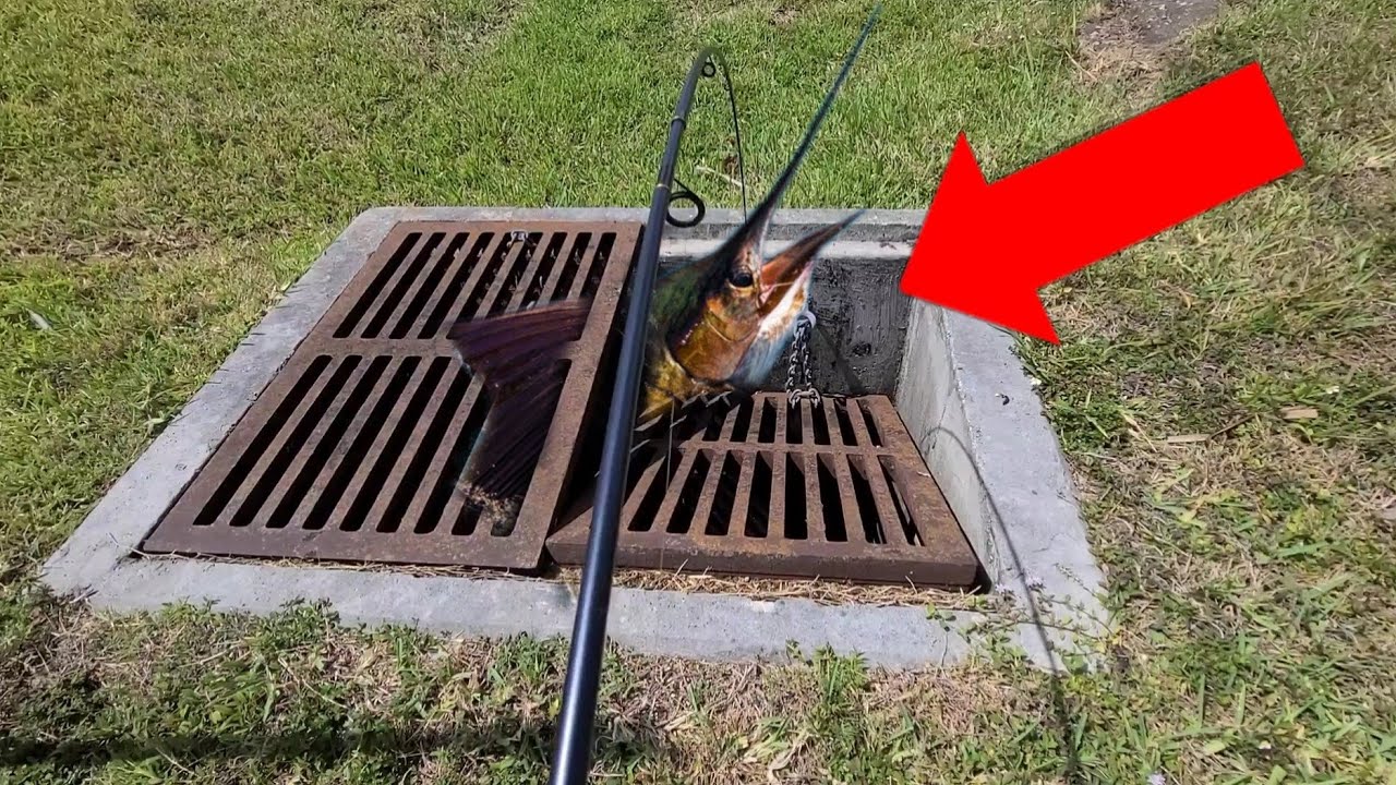 CRAZY SEWER FISHING!!! - YouTube
