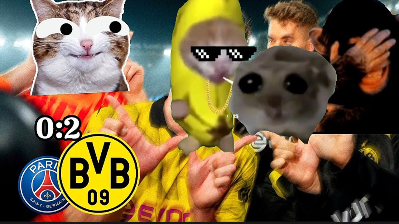 CAT MEMES: PSG vs Borussia Dortmund 0-1 - All Goals & Highlights ...