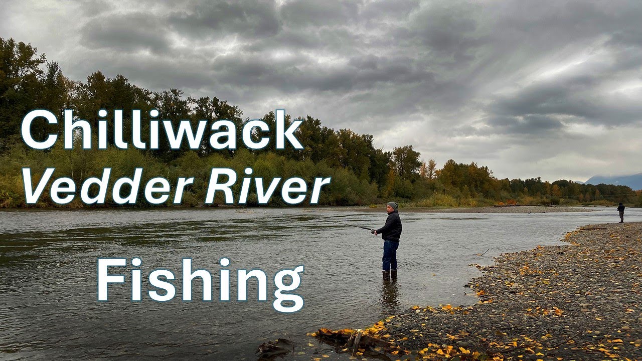 Fishing Chilliwack River | Relaxing Vedder River POV & BC Nature - YouTube