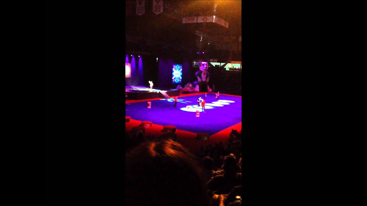 PNE 2012 Super Dog show - YouTube