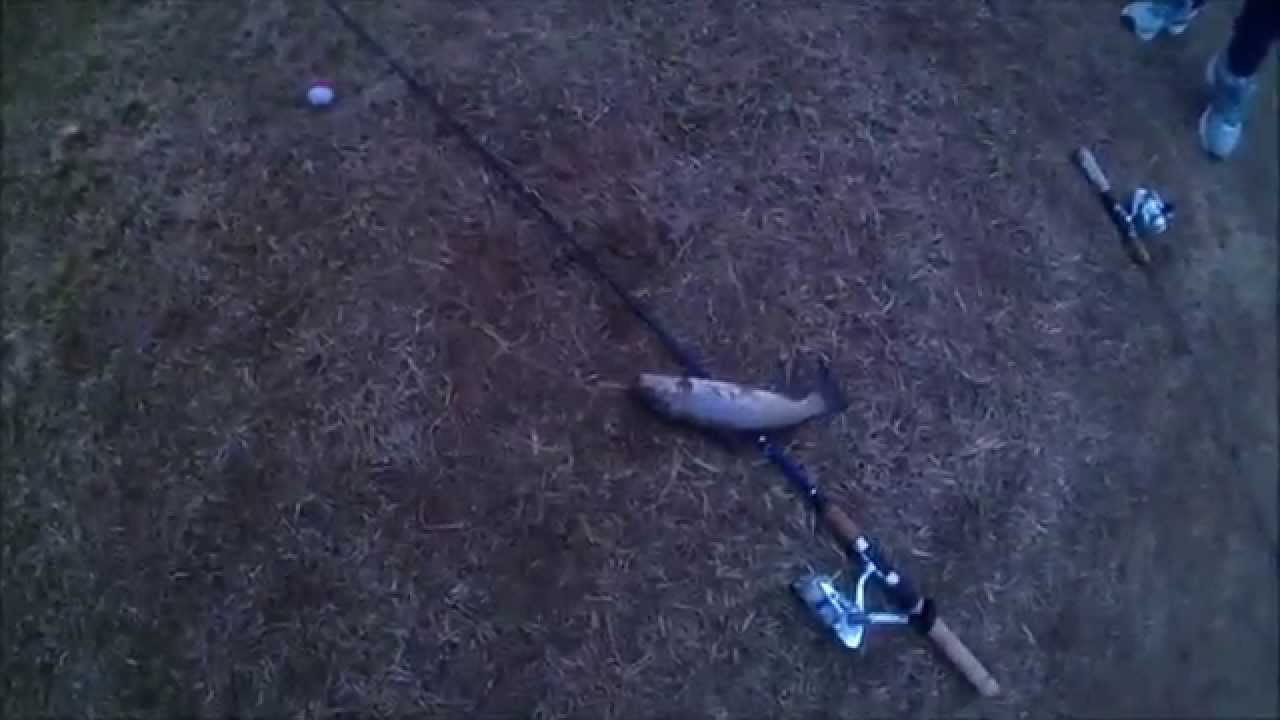 fishing the farm museum pond in Westminster MD - YouTube