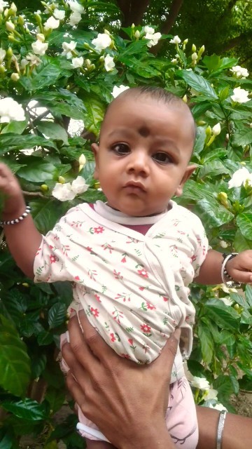 phool phool pe Short @# - YouTube