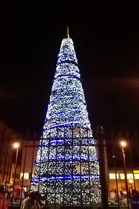 Arbol de Navidad / Christmas Tree en San Jose Costa Rica - YouTube