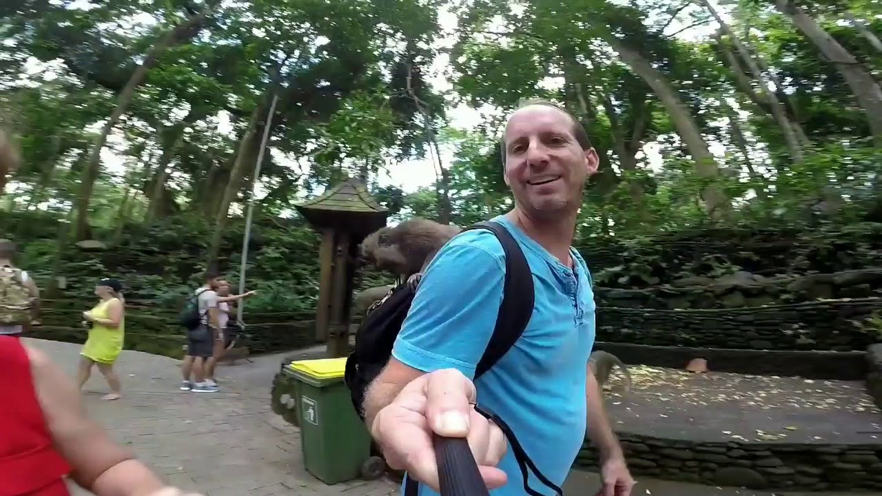 Ubud Bali Monkey Forest = CRAZY MONKEY ATTACK - YouTube