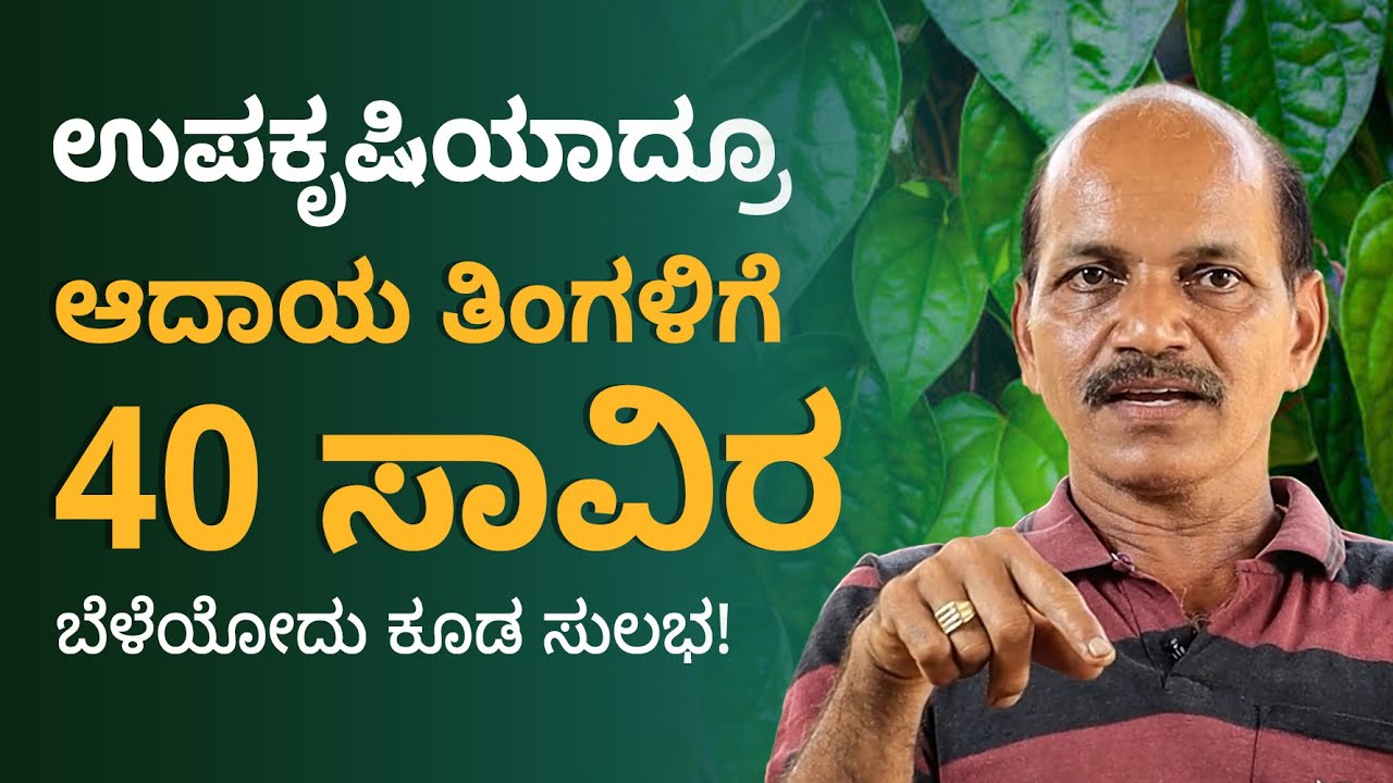 How to Start Profitable Betel Leaf Farming? | Betel Leaf Farming ...