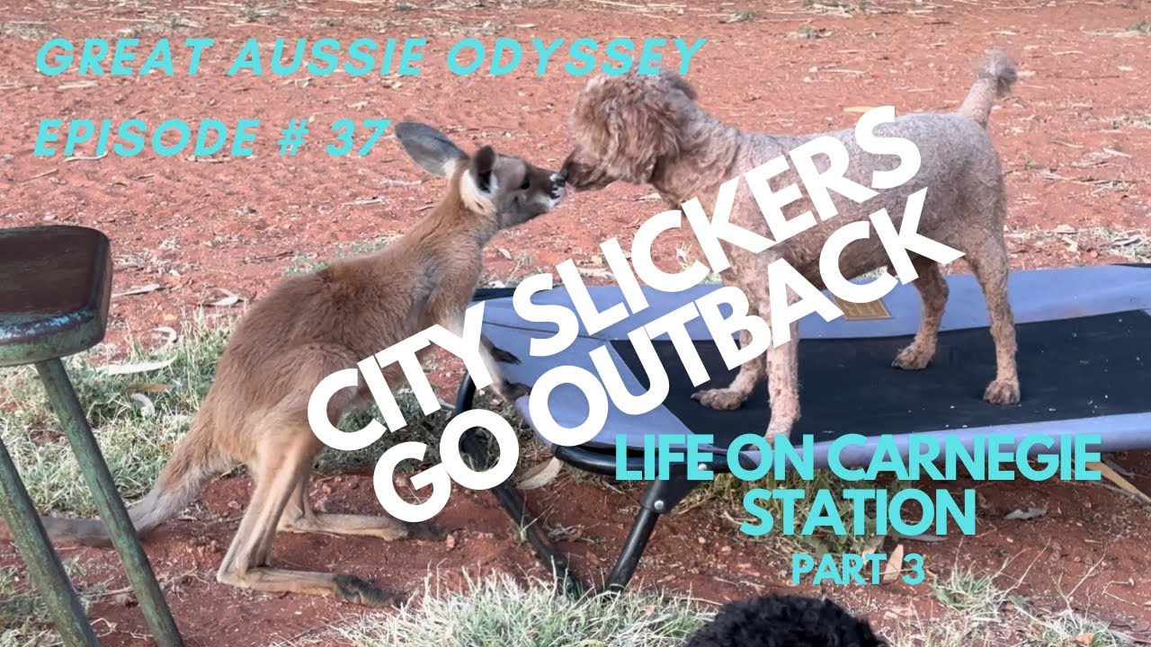 City Slickers Go Outback "Life on Carnegie Station Part 3" - YouTube