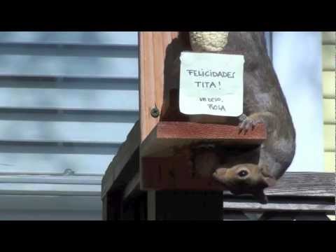 Xip the Squirrel - Happy B-Day Josefina