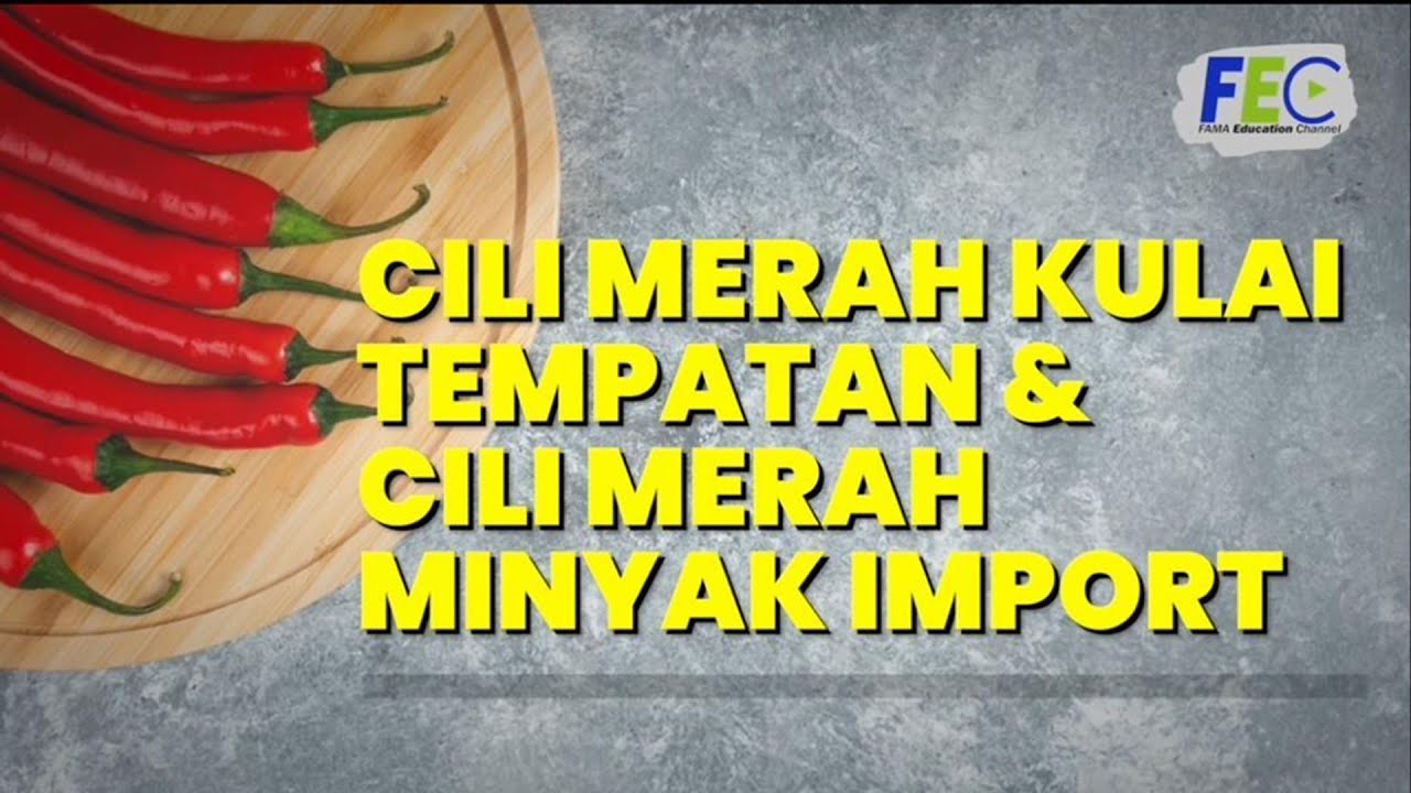CILI MERAH TEMPATAN & CILI MERAH MINYAK IMPORT - YouTube