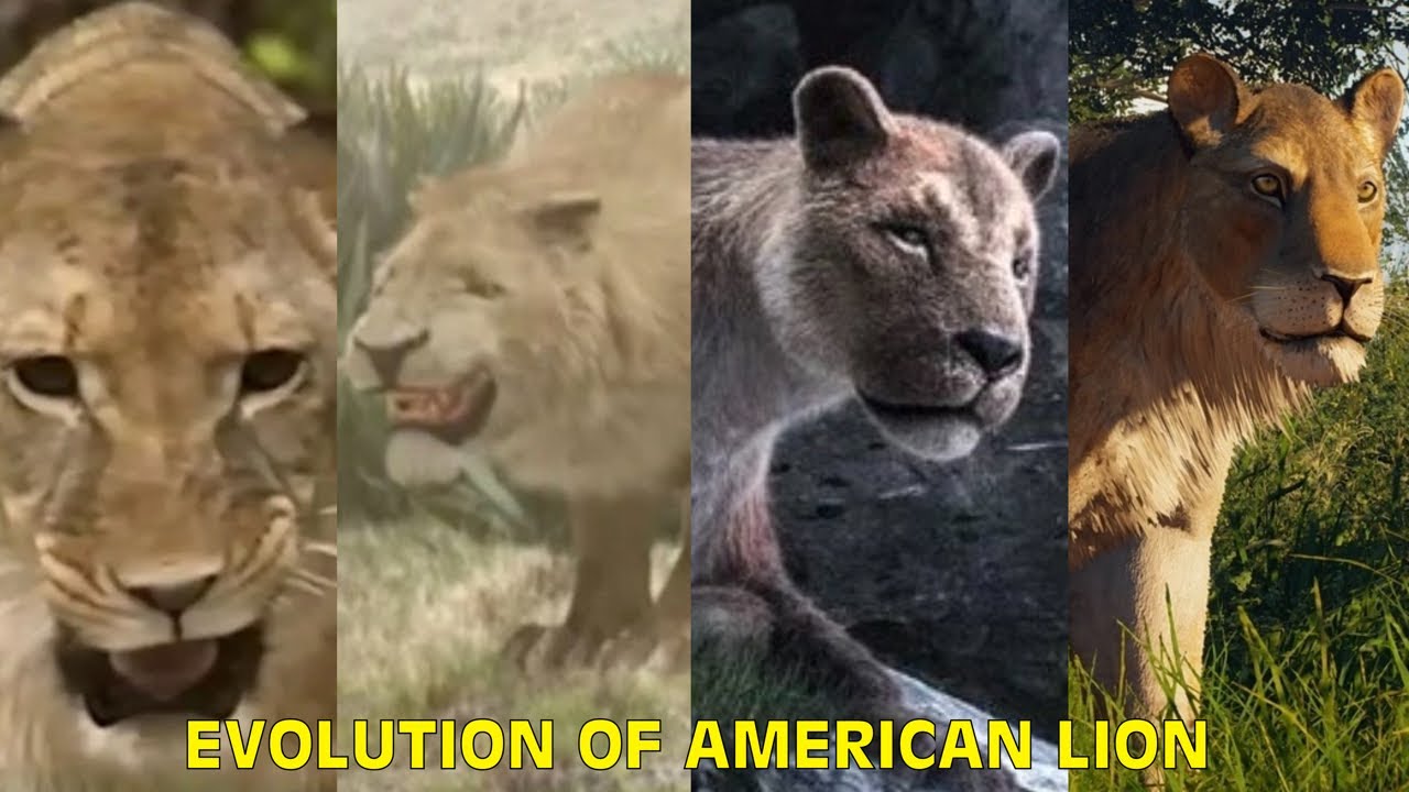 Evolution Of American Lion (Panthera Atrox) In Paleo Media - YouTube