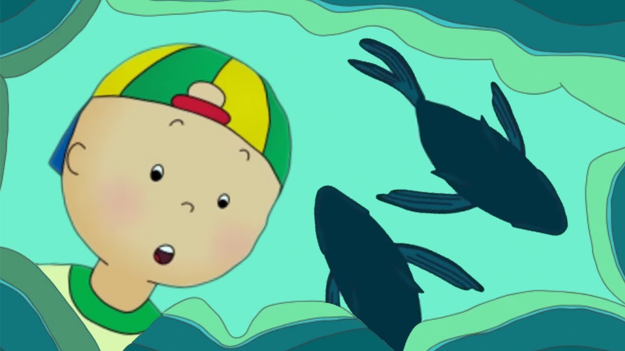Caillou Has Fun At The Rock Pools ★ Funny Animated Caillou | Cartoons ...