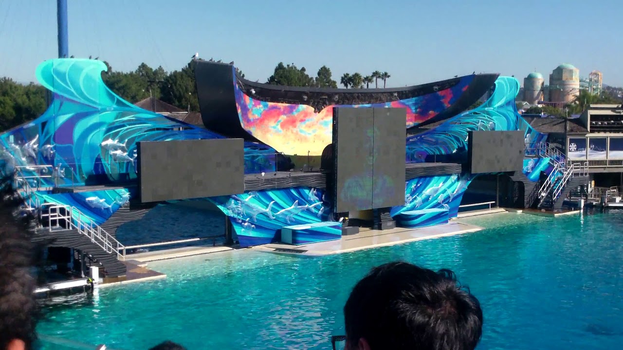 SeaWorld One Ocean Show - YouTube