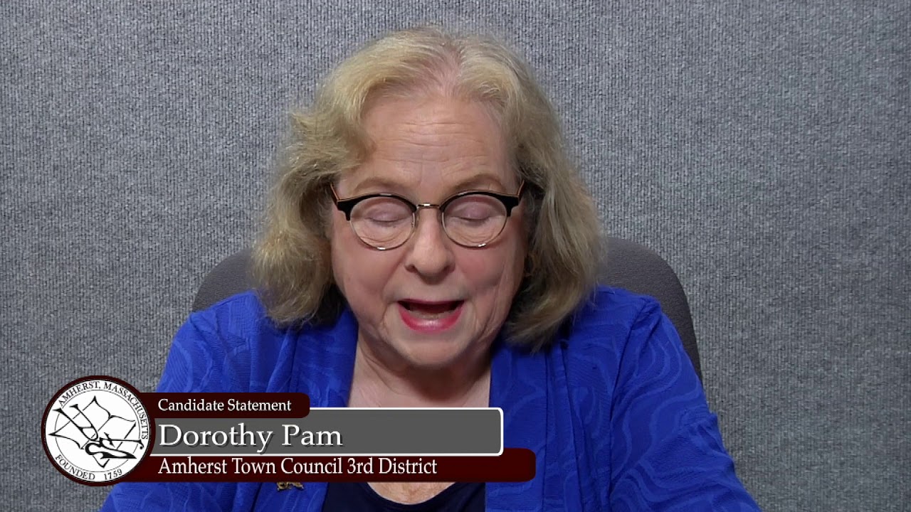 2018 Town Council Candidate Statement: Dorothy Pam, District 3 - YouTube