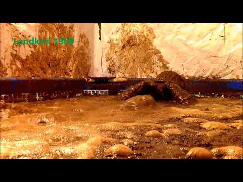 Fun in cold cow slurry - YouTube