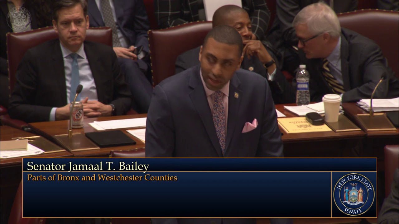 NY State Senator Jamaal T. Bailey MLK Speech on Senate Floor - YouTube