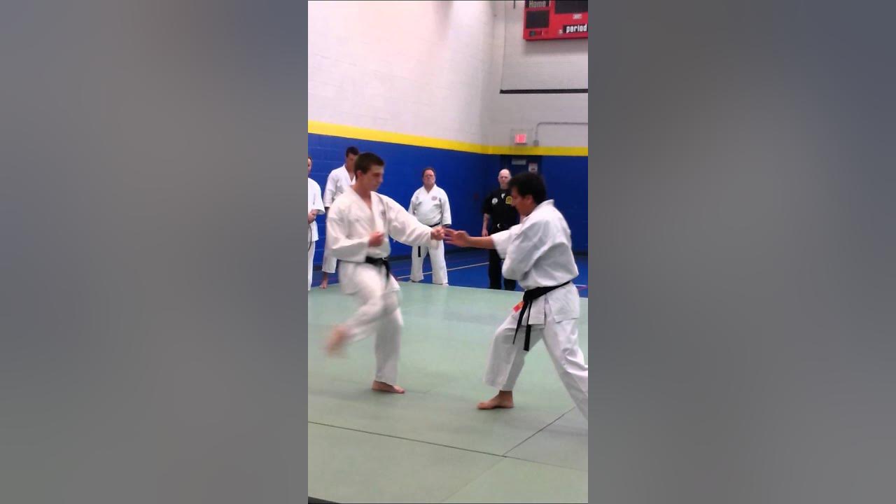 Practical Kata Bunkai: Pinan / Heian / Pyong-an Sandan #bunkai #shotokan #karate - YouTube