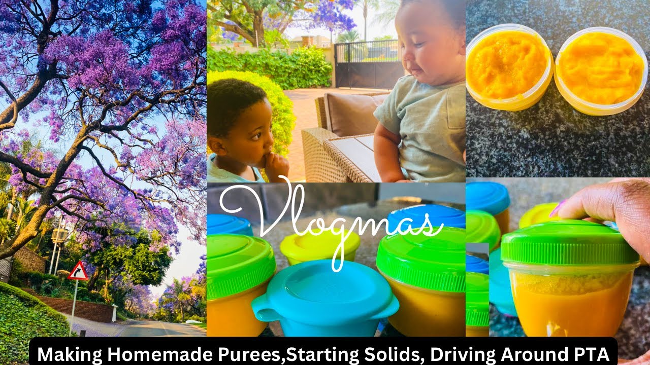 How To Make Homemade Purees & Save On Baby Food | Potty Training ...