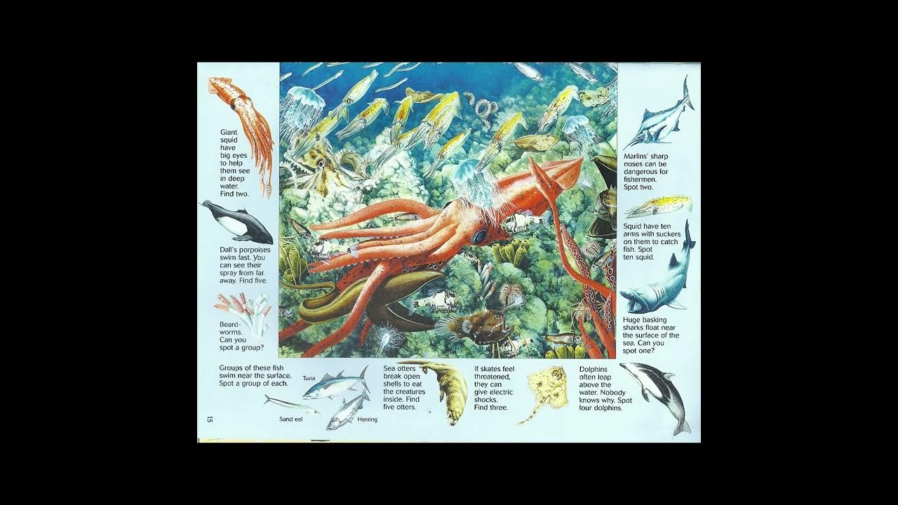 USBORNE THE GREAT ANIMAL SEARCH - YouTube