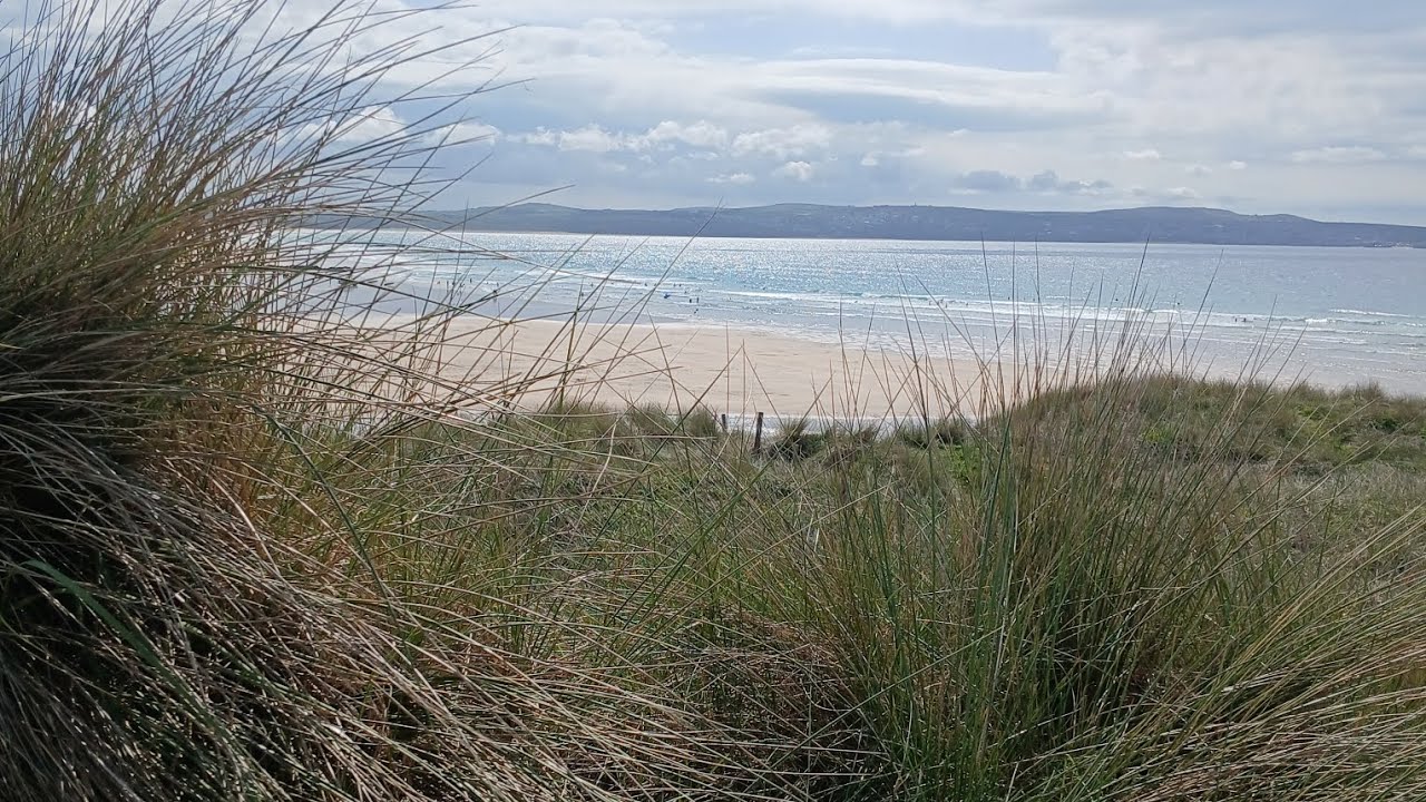 Transgenerational Trauma Part 2, Examples of Ancestral pain/blocks ...