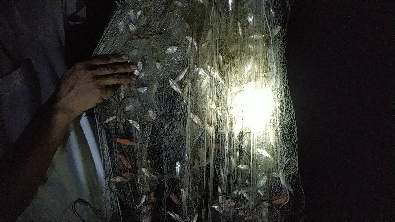 Night fishing with nets | হাওরে রাতে মাছ ধরা - YouTube