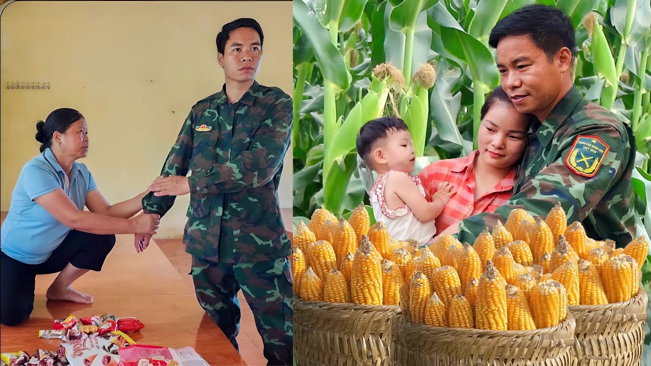 Harvesting Corn to Sell - It's So Happy When the Evil Mother Changes | Lý Tiểu Hà's Husband ...