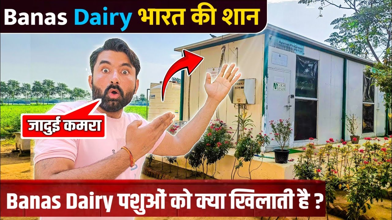 Banas Dairy का अद्भुत तकनीकि।। Banas Dairy in Banaskantha. - YouTube