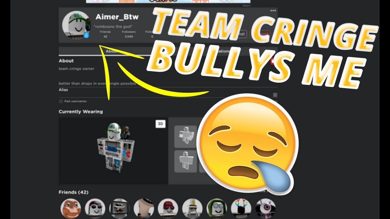 When Team Cringe Bullies Me😢 - YouTube