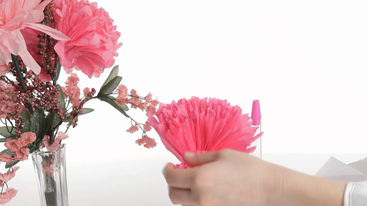 Pixie Carnation Flower | Best Flower Site