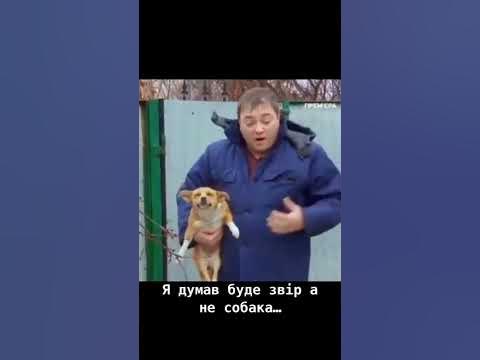 Ясное солнышко, а не собака☀️☀️☀️☀️ - YouTube