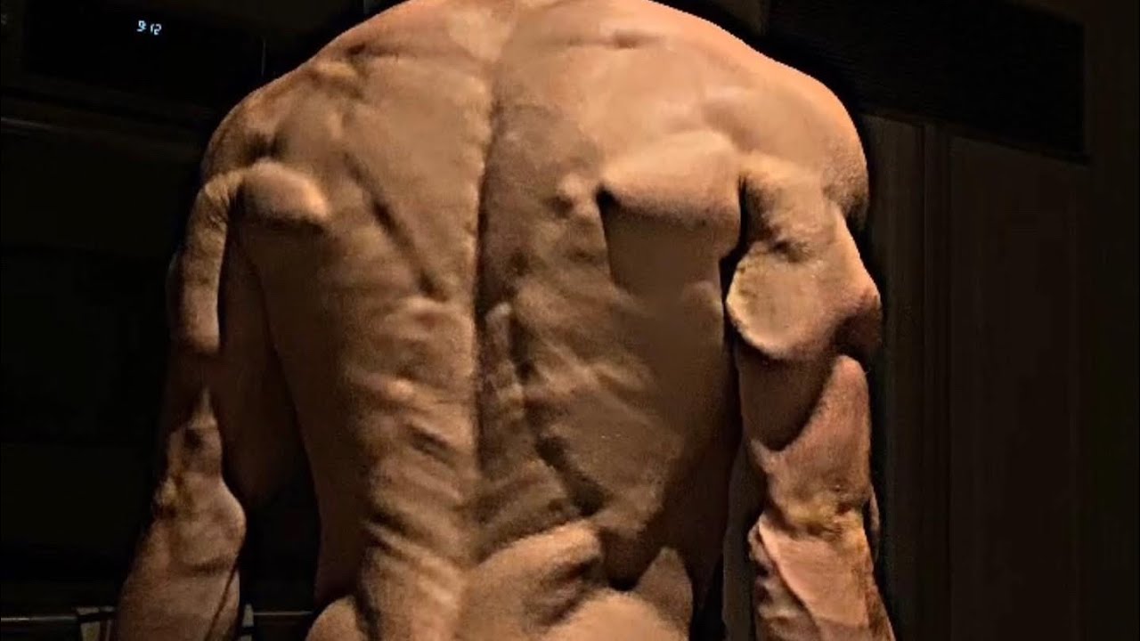 How To Build A Huge Back: The Only Exercises You Need Explained - YouTube