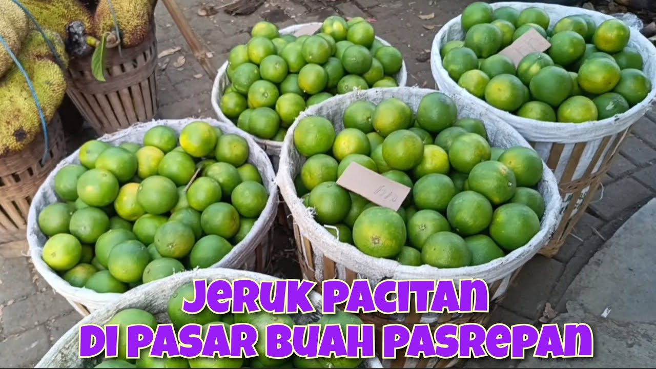 JERUK PACITAN MULAI BANYAK || LIHAT HARGA JERUK PACITAN DI PASAR BUAH ...