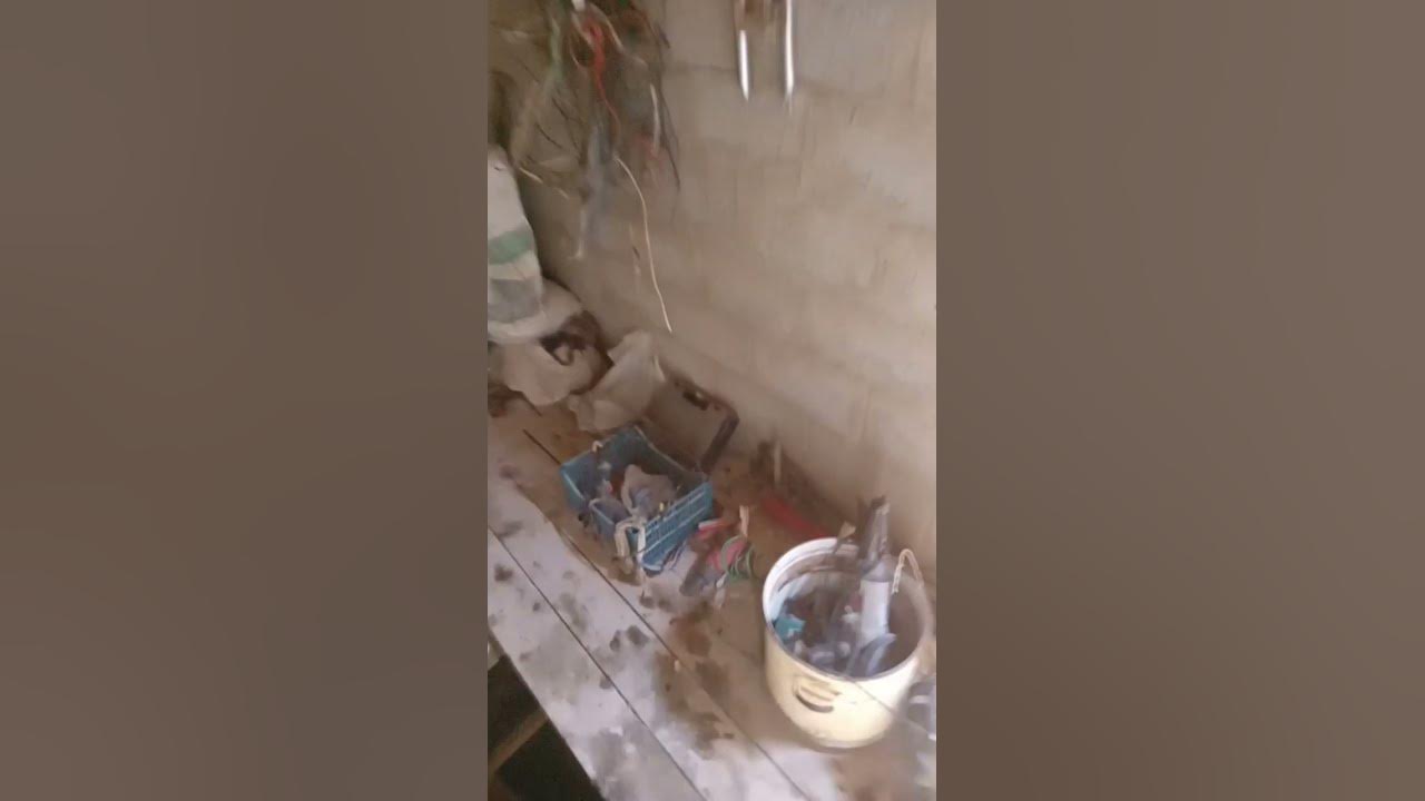 @Balgarka.. - YouTube