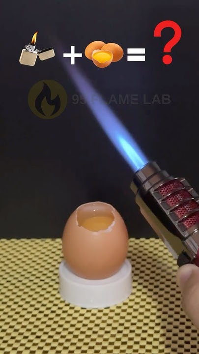 95 Flame Lab vs Egg @95flamelab #95flamelab - YouTube