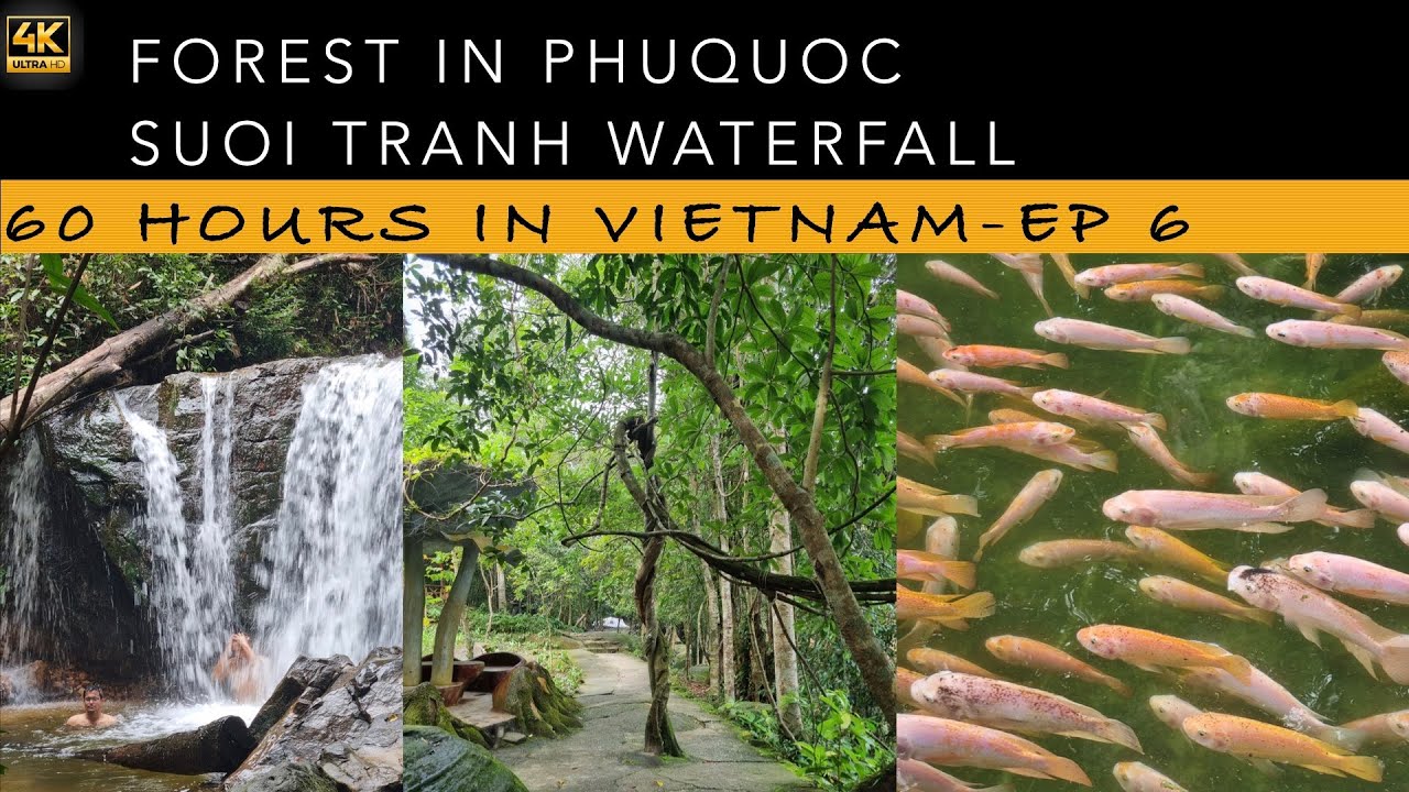 Suoi Tranh Waterfall PhuQuoc Airport Nearby| EP6- 60 Hours in Vietnam ...